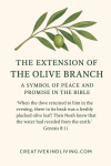 The Extension of the Olive Branch | VOLUMEGUIDE 2